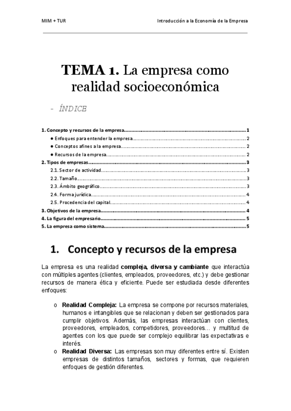 Tema-1-IEE.pdf