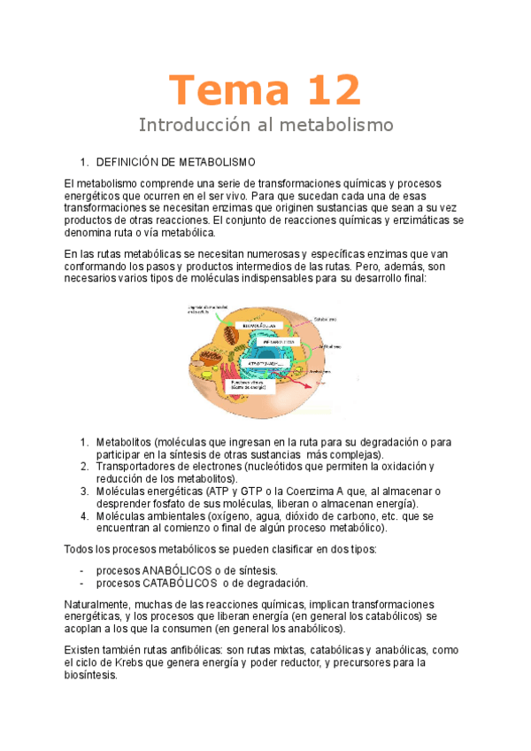 Apuntes de El Control Financiero Permanente