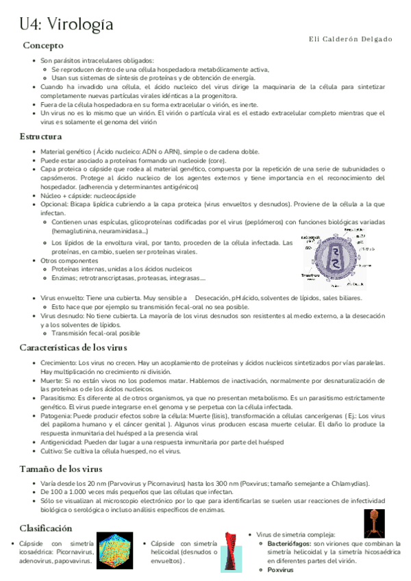 U4-Virologia.pdf
