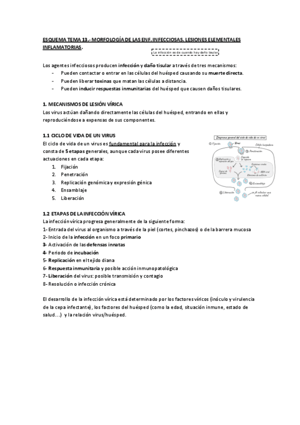 ESQUEMA-13.-MORFOLOGIA-DE-LAS-ENFERMEDADES-INFECCIOSAS-1.pdf