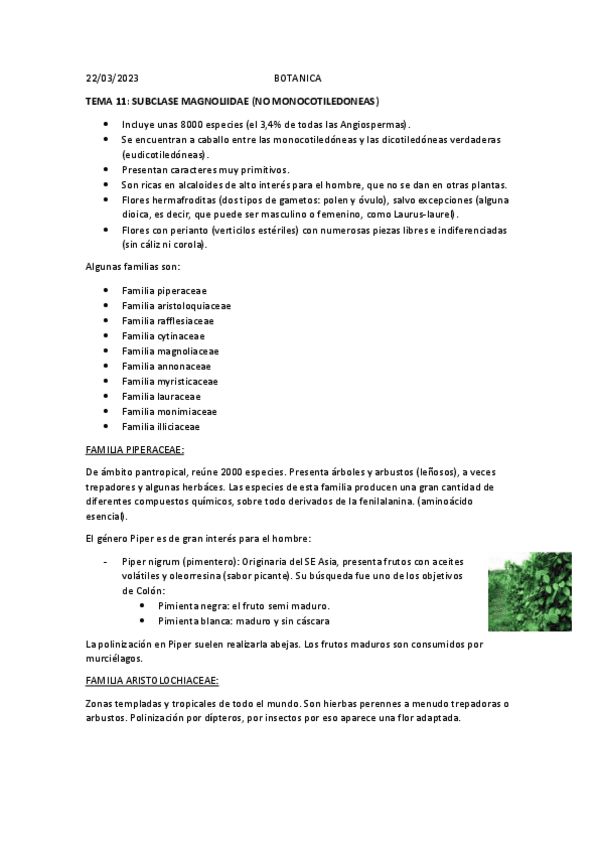 BOTANICA-TEMA-11.pdf