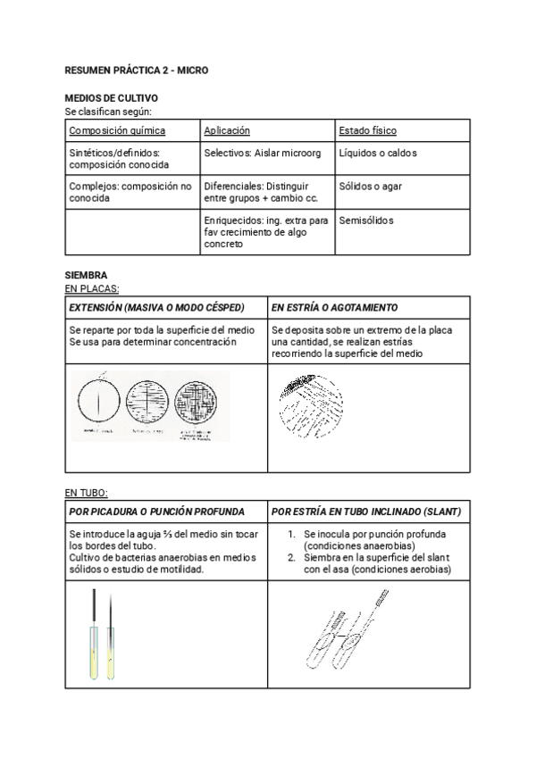 RESUMEN-PRACTICA-2-MICRO.pdf