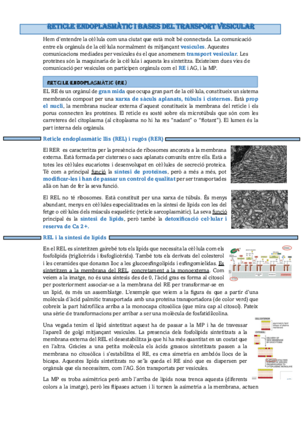 Bio-tema-6-RETICLE-ENDOPLASMATIC-I-BASES-DEL-TRANSPORT-VESICULAR.pdf