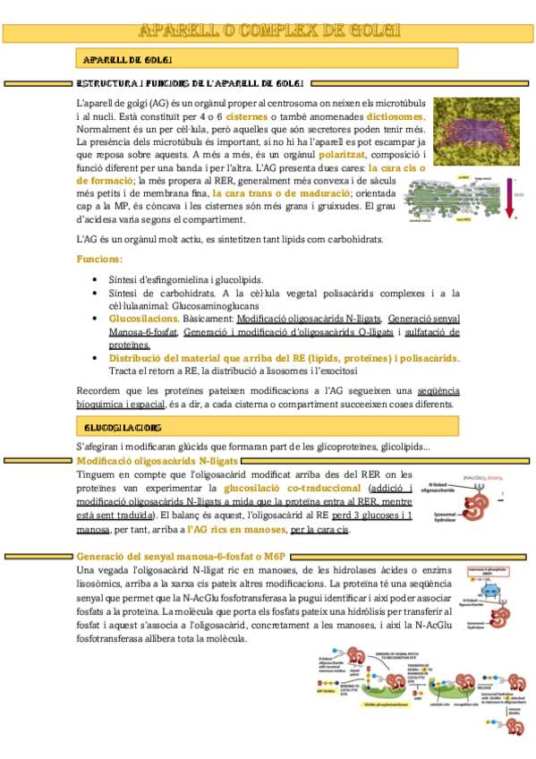 bio-Tema-7.-APARELL-O-COMPLEX-DE-GOLGI.pdf