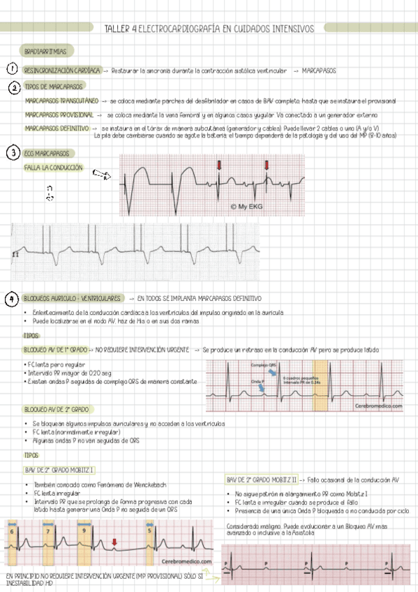 TALLER-4-ECG.pdf