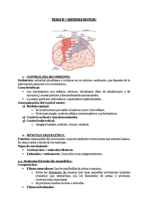 RESUMEN-TEMA-8-SISTEMA-MOTOR.pdf