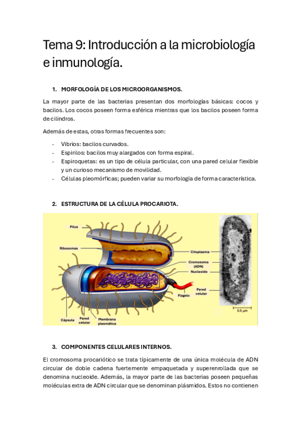 Tema-9-biologia.pdf