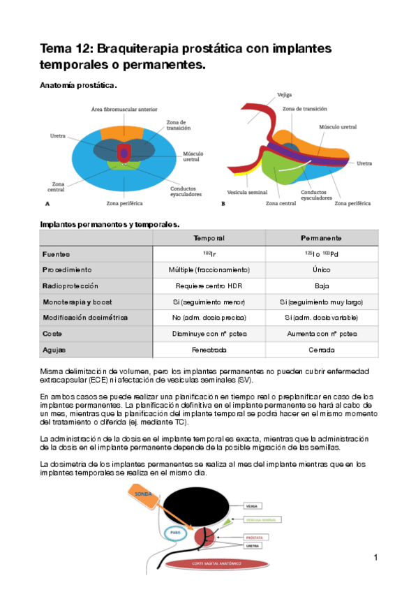 T12-Braqui.pdf