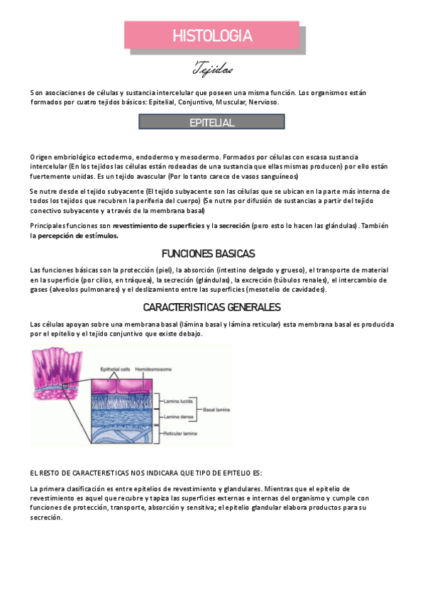 Tipos-de-tejidos.pdf