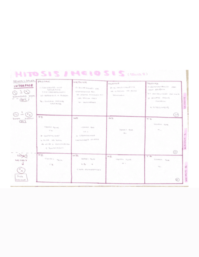 esquema-basico-mitosismeiosis.pdf