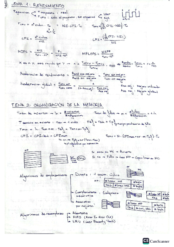 Teoria-simbiòtica: concepto y apuntes relacionados | Wuolah