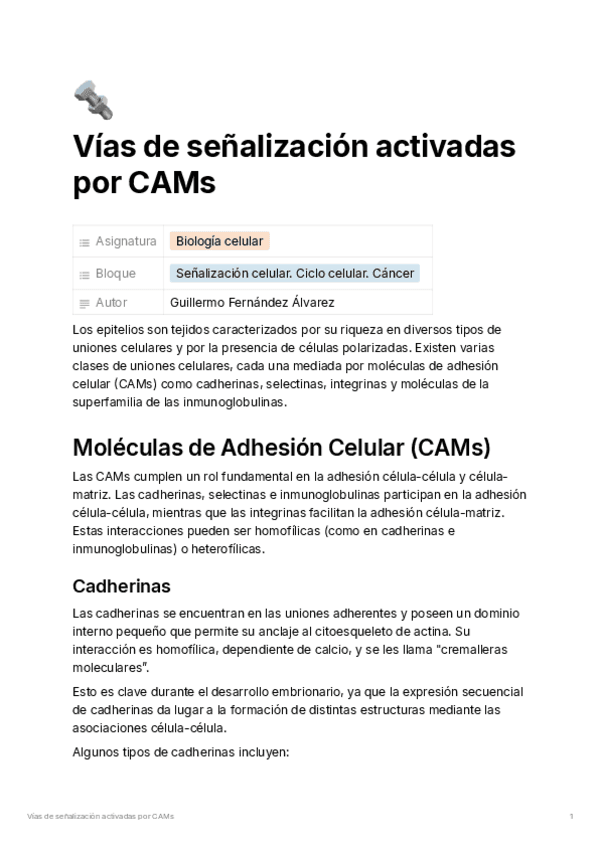 Senalizacion por CAMs.pdf