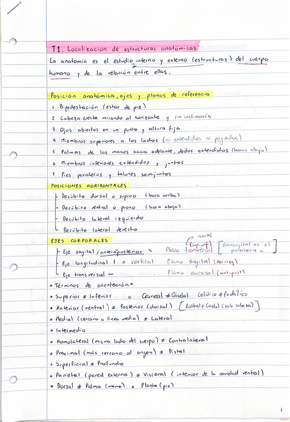 T1.-Localizacion-de-estructuras-anatomicas.pdf