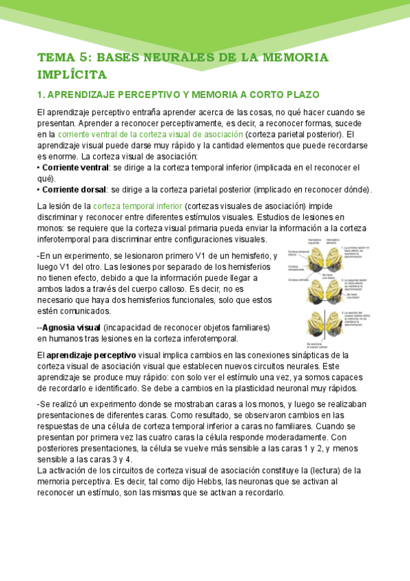 TEMA-5-MEMORIA-IMPLICITA.pdf
