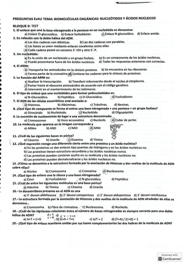preguntas-tema-6.pdf