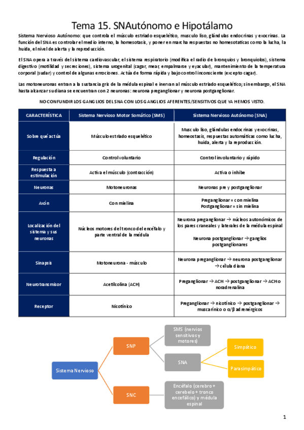 T15.-SNAutonomo-e-Hipotalamo.pdf