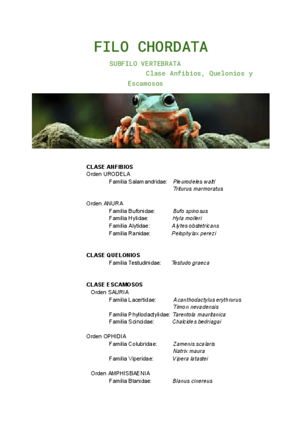 Imagenes-Filo-chordata-clase-anfibios-quelonios-y-escamosos.pdf