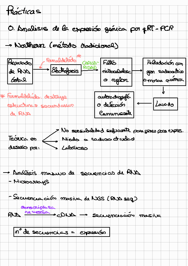 Esquemas-practicas.pdf