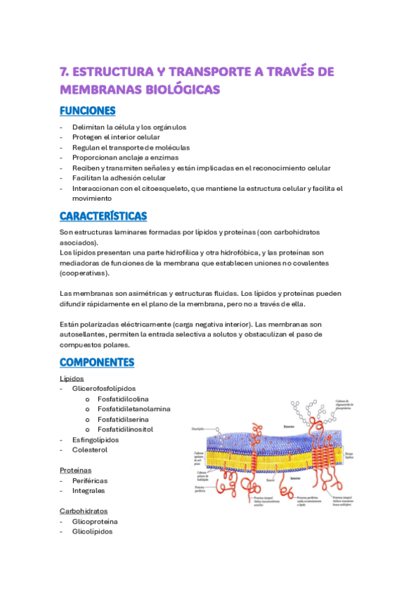 TEMA-8-ESTRUCTURA-Y-TRANSPORTE-A-TRAVES-DE-MEMBRANAS-BIOLOGICAS.pdf