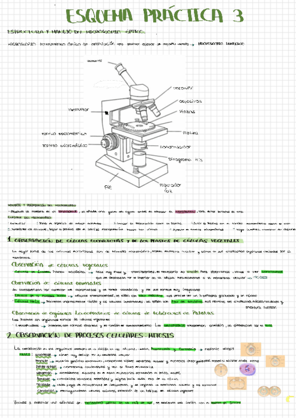 Practicas-bio.pdf
