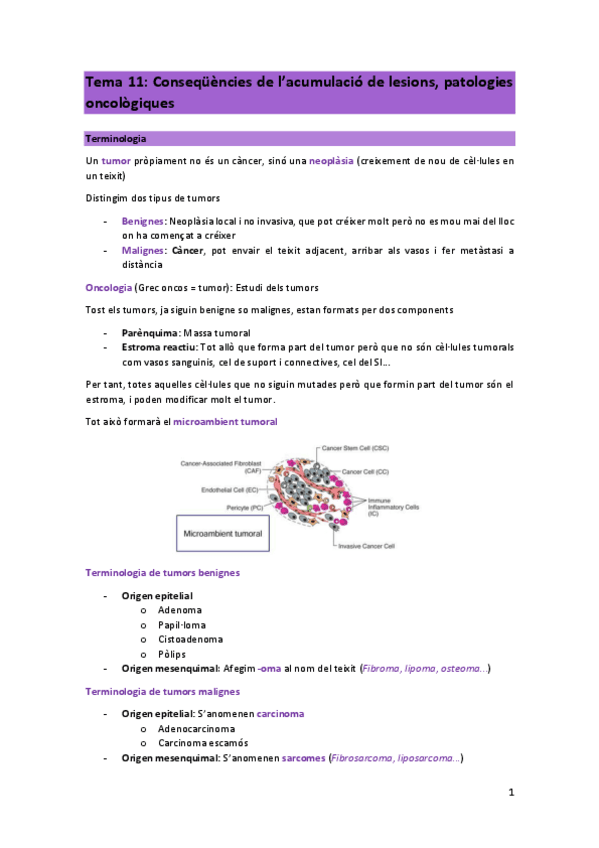 T11-PCM-cancer.pdf