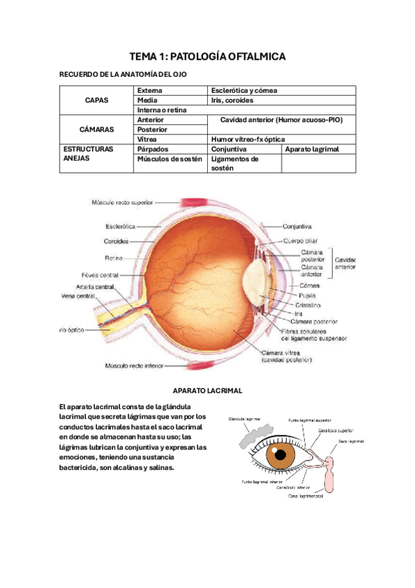 U5-T1-PATOLOGIA-OFTALMICA.pdf