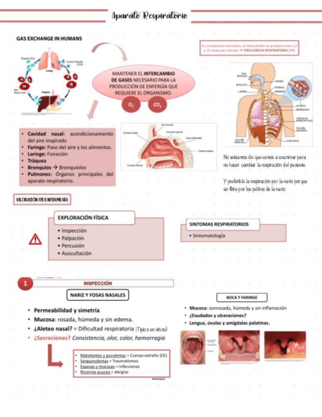 Fundamentos-De-Enfermeria-Y-Cuidados.-Aparato-respiratorio.pdf