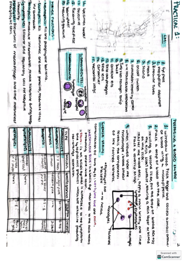 practicas-histologia-y-biocell.pdf