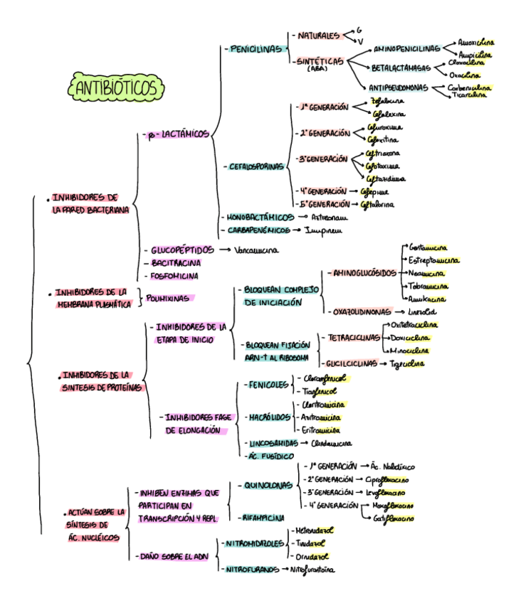 ESQUEMA-ANTIBIOTICOS.pdf