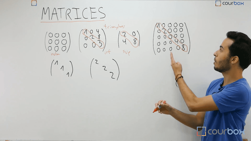 Lección 2 - Tipos-de-matrices.mp4