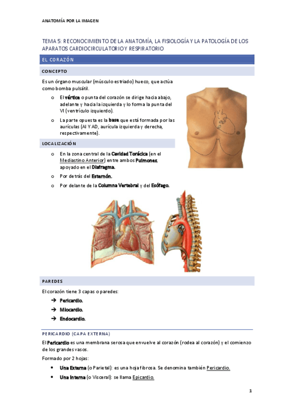 tema-5-reconocimiento-anatomia-y-fisiologia-de-los-aparatos-cardiocirculatorio-y-respiratorio.pdf