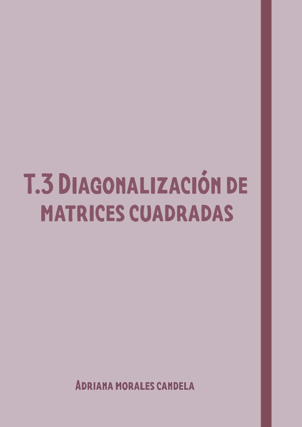 T3-Diagonalizacion-de-matrices-cuadradas.pdf