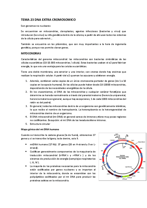 TEMA-22-DNA-EXTRA-CROMOSOMICO-COMPLETO-24-25.pdf