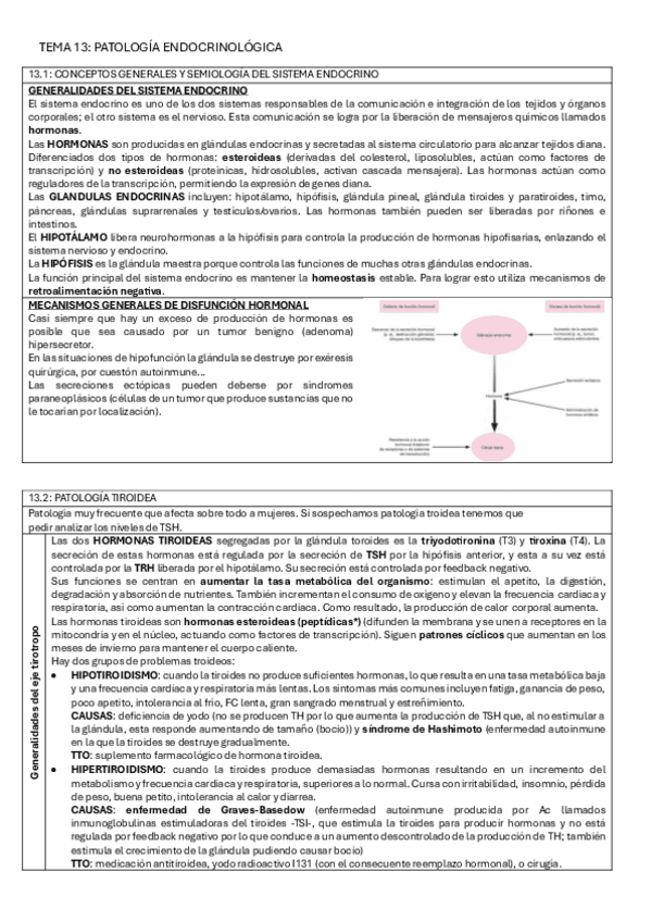 PG-T13.pdf