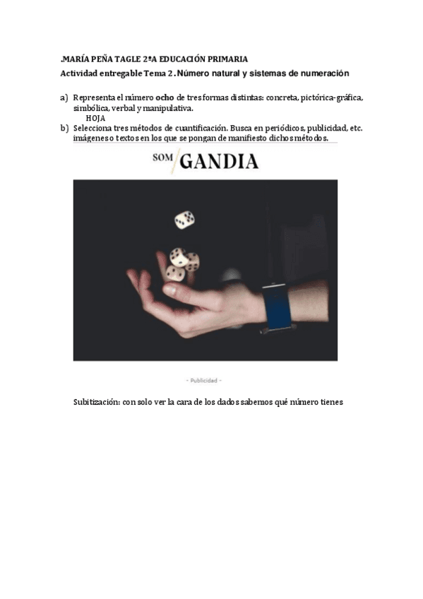 ACTIVIDAD-ENTREGABLE-TEMA-2-MARIA-PENA-TAGLE.pdf