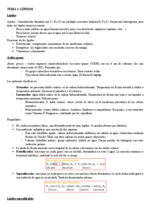 TEMA-3.-LIPIDOS.pdf