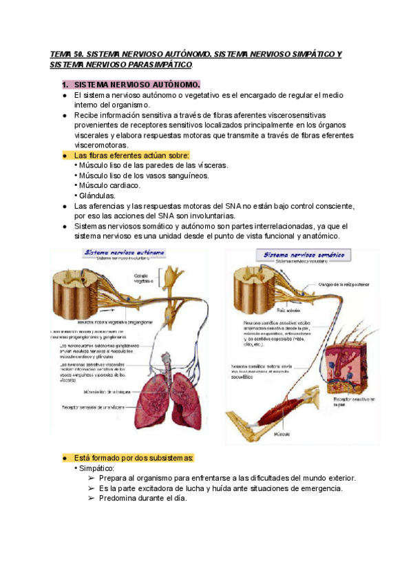 TEMA-50-ANATOMIA-IMP.pdf