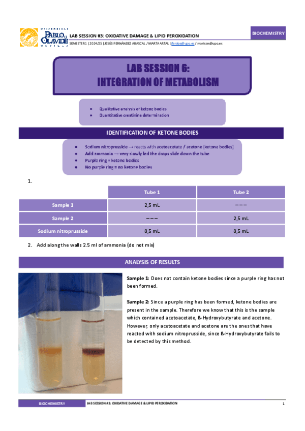 Lab-Session-6.-Integration-of-metabolism.pdf