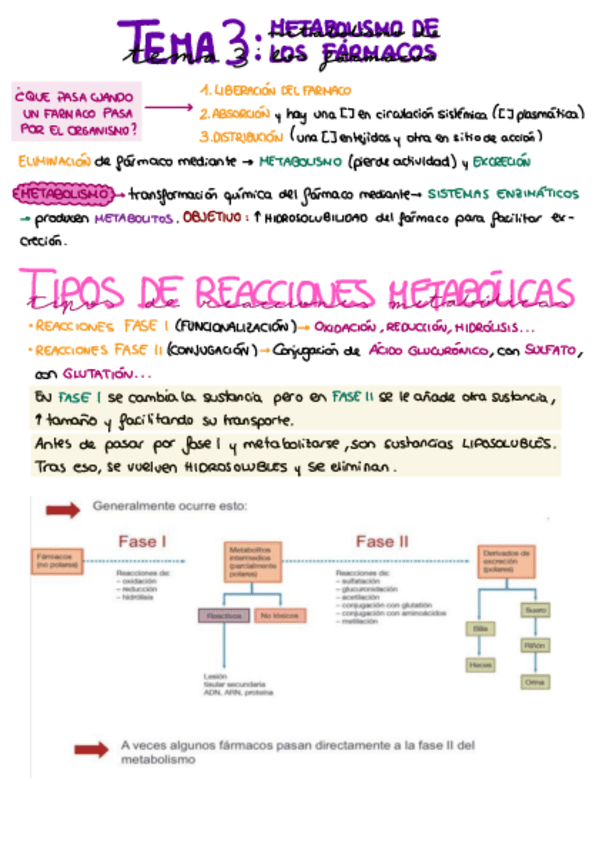 RESUMEN-TEMA-3-FARMA.pdf