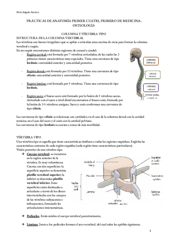 PRACTICAS-DE-ANATOMIA-PRIMER-CUATRI-PRIMERO-DE-MEDICINA-OSTEOLOGIA.pdf
