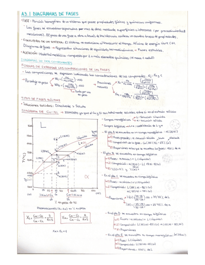 BLOQUE-A-RESUMEN-A3-DIAGRAMAS-DE-FASES.pdf