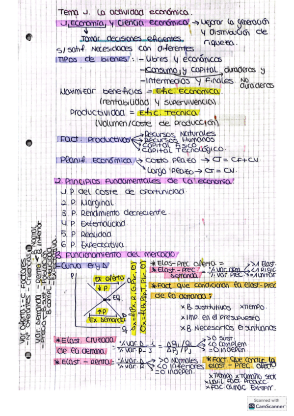 Esquema-de-todos-los-temas.pdf