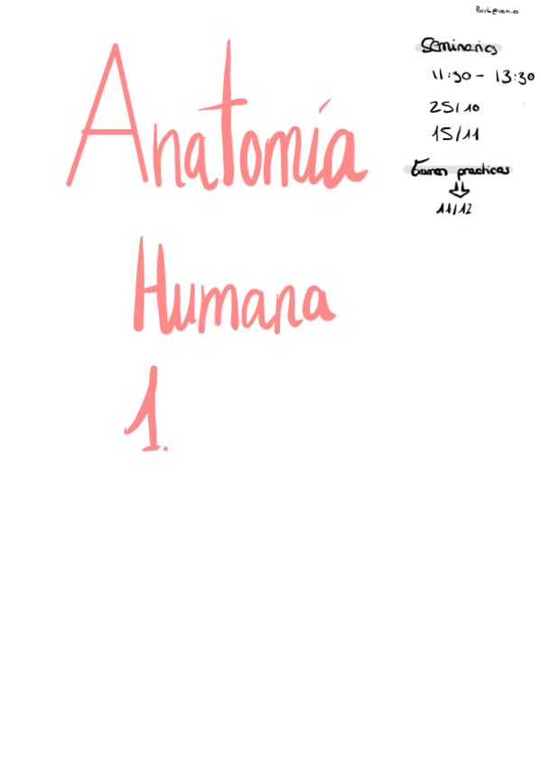 Anatomia-Humana.pdf