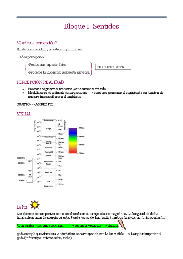 Percepcion-1o-Psicologia.pdf