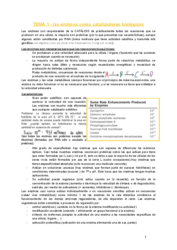 TEMA-6.pdf