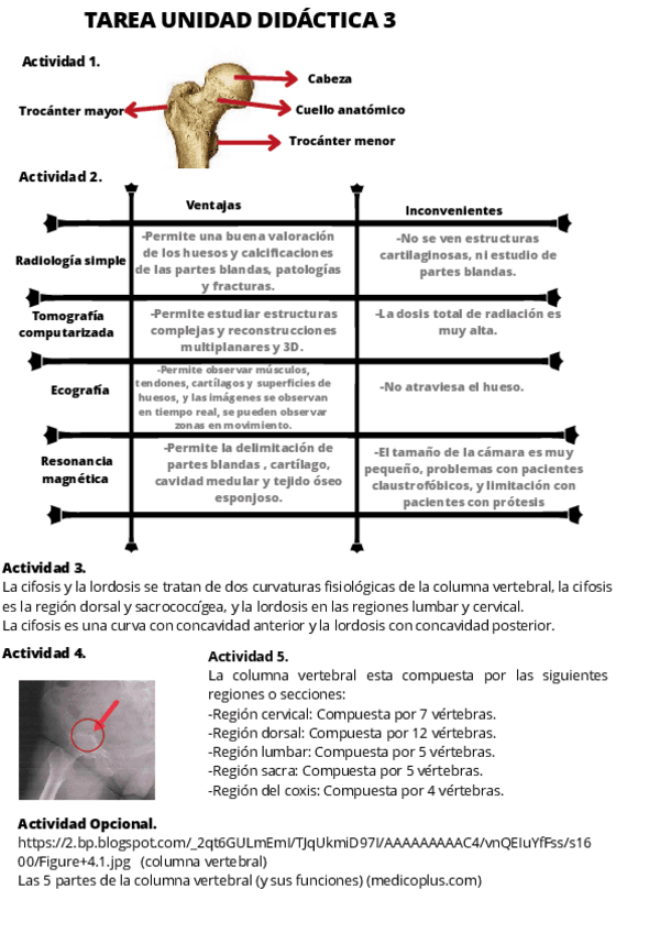 TAREA-AI-2.pdf