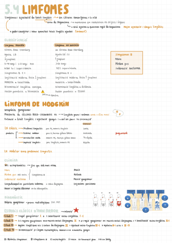 Unitat-5.4-Limfomes.pdf