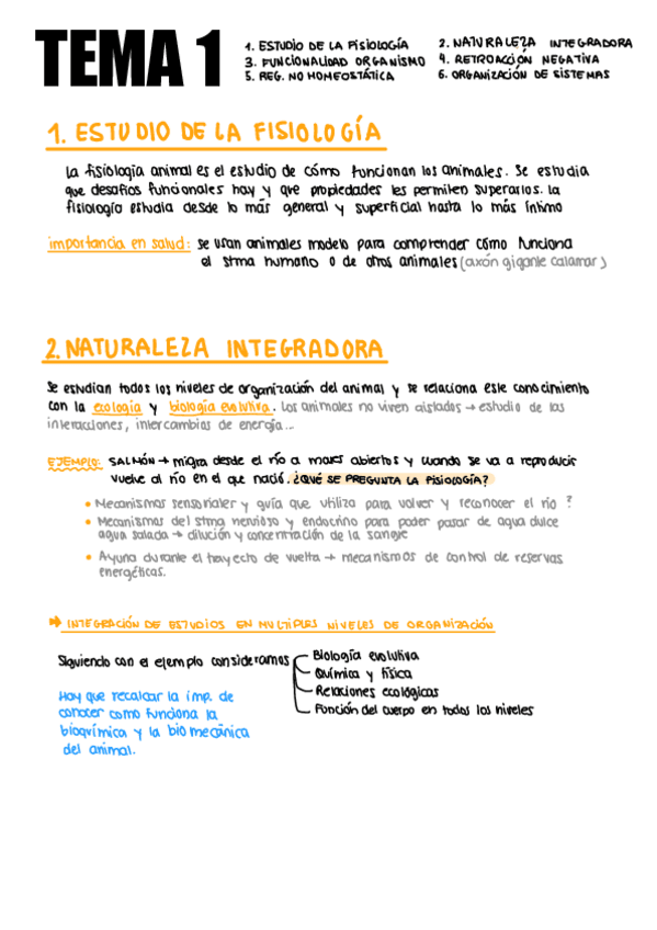 T1-ANIMAL.pdf