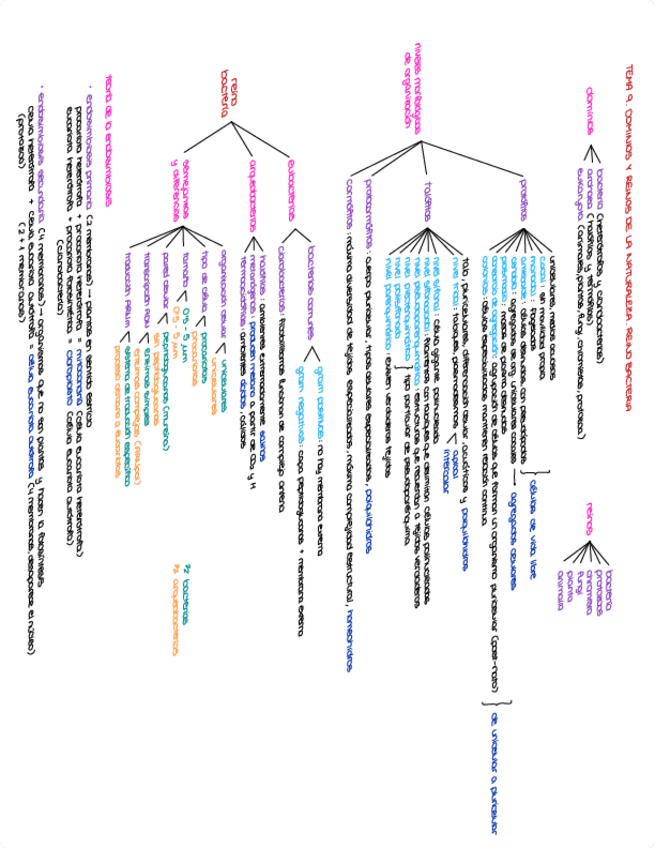 Esquema Tema 9. Dominios y reinos de la naturaleza. Reino Bacteria.pdf