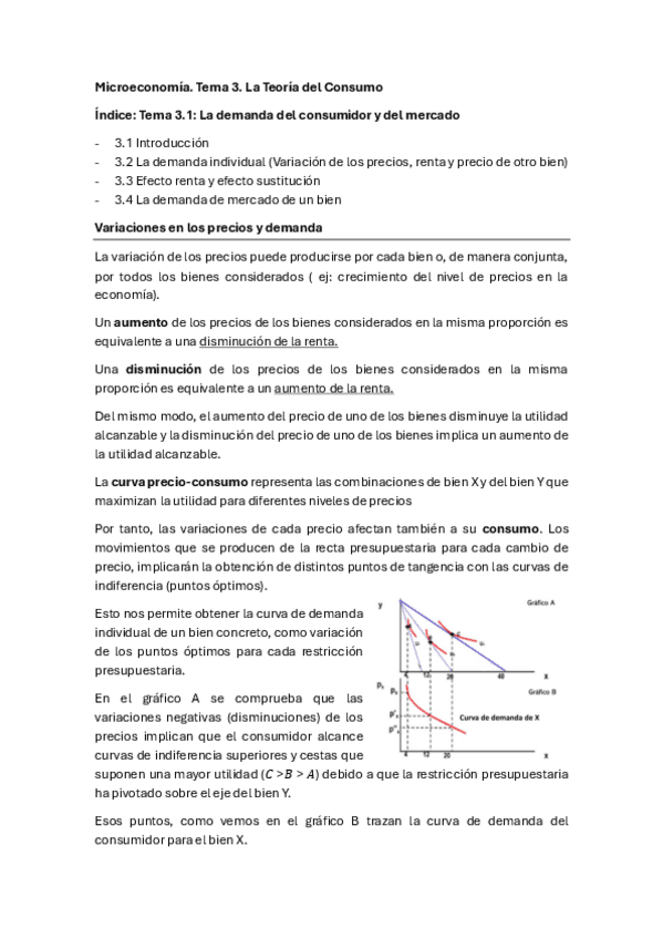 TEMA-3.-Micro.pdf
